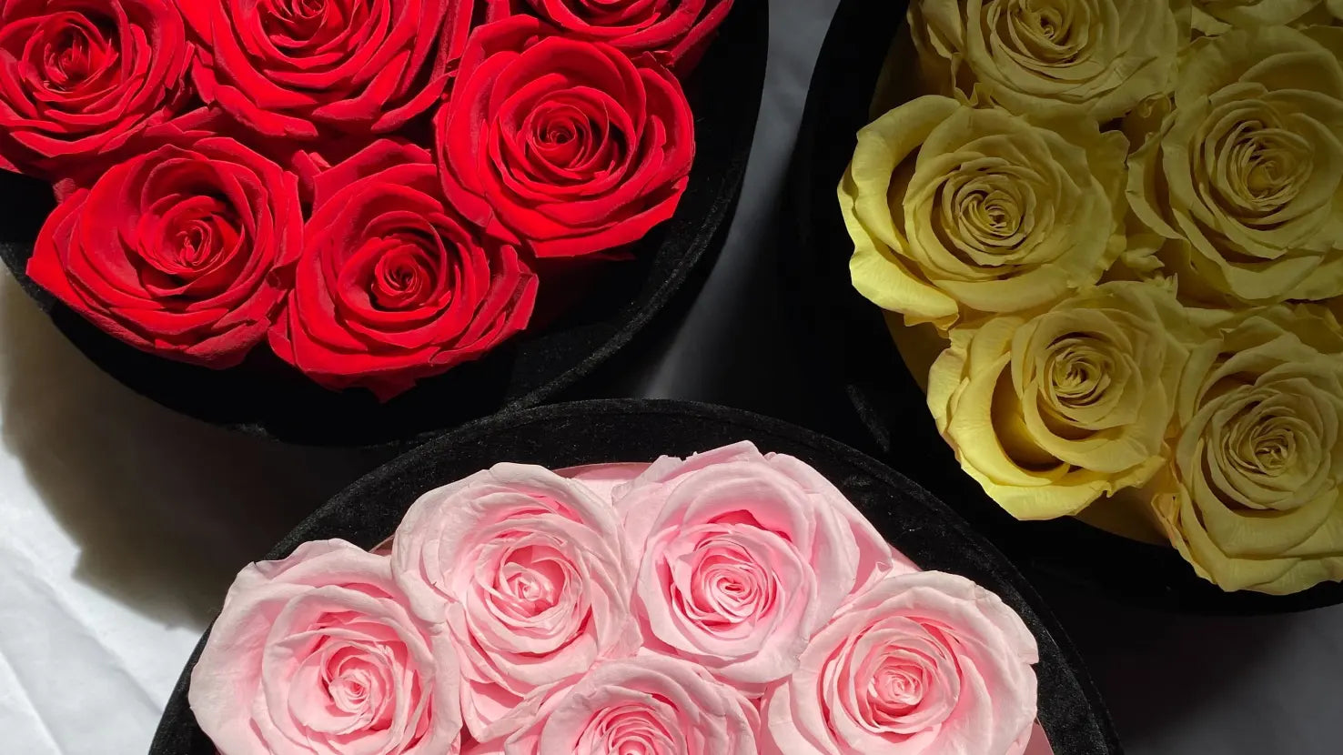 "I Love You" Roses: A Guide – Rose Forever