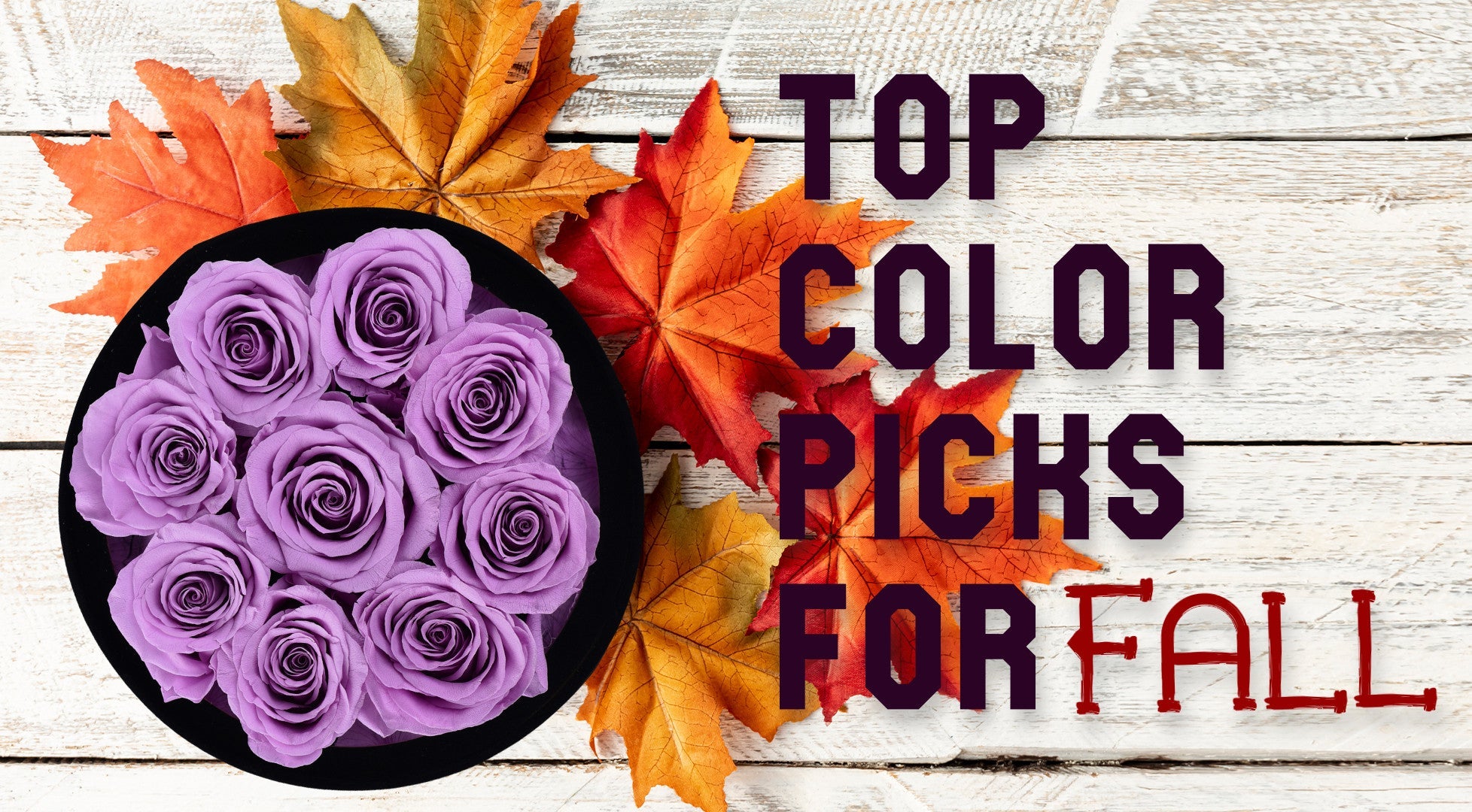 Discover the Top Color Picks for Preserved Roses This Fall – Rose Forever