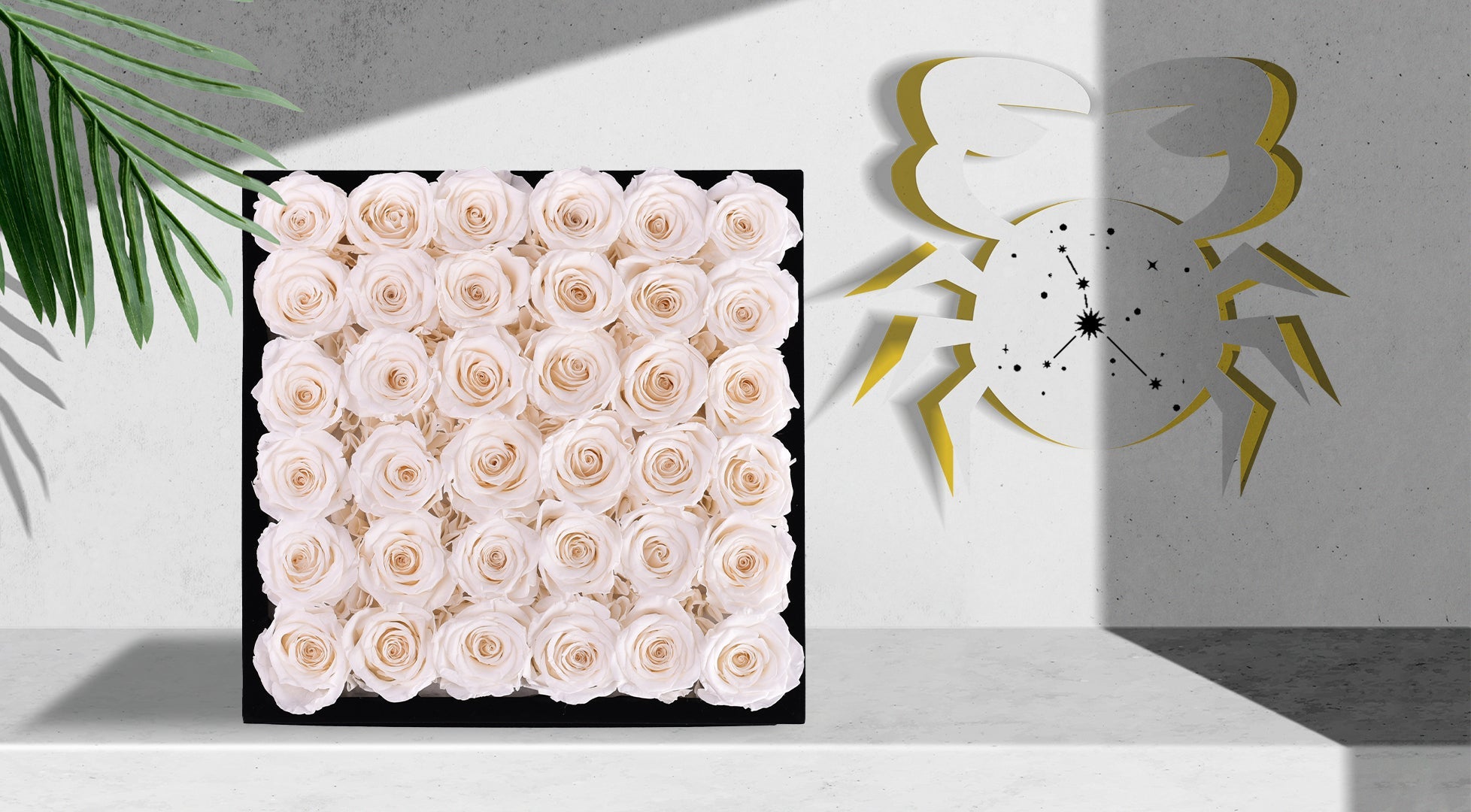 The Perfect Flower for Your Zodiac Sign: Cancer – Rose Forever