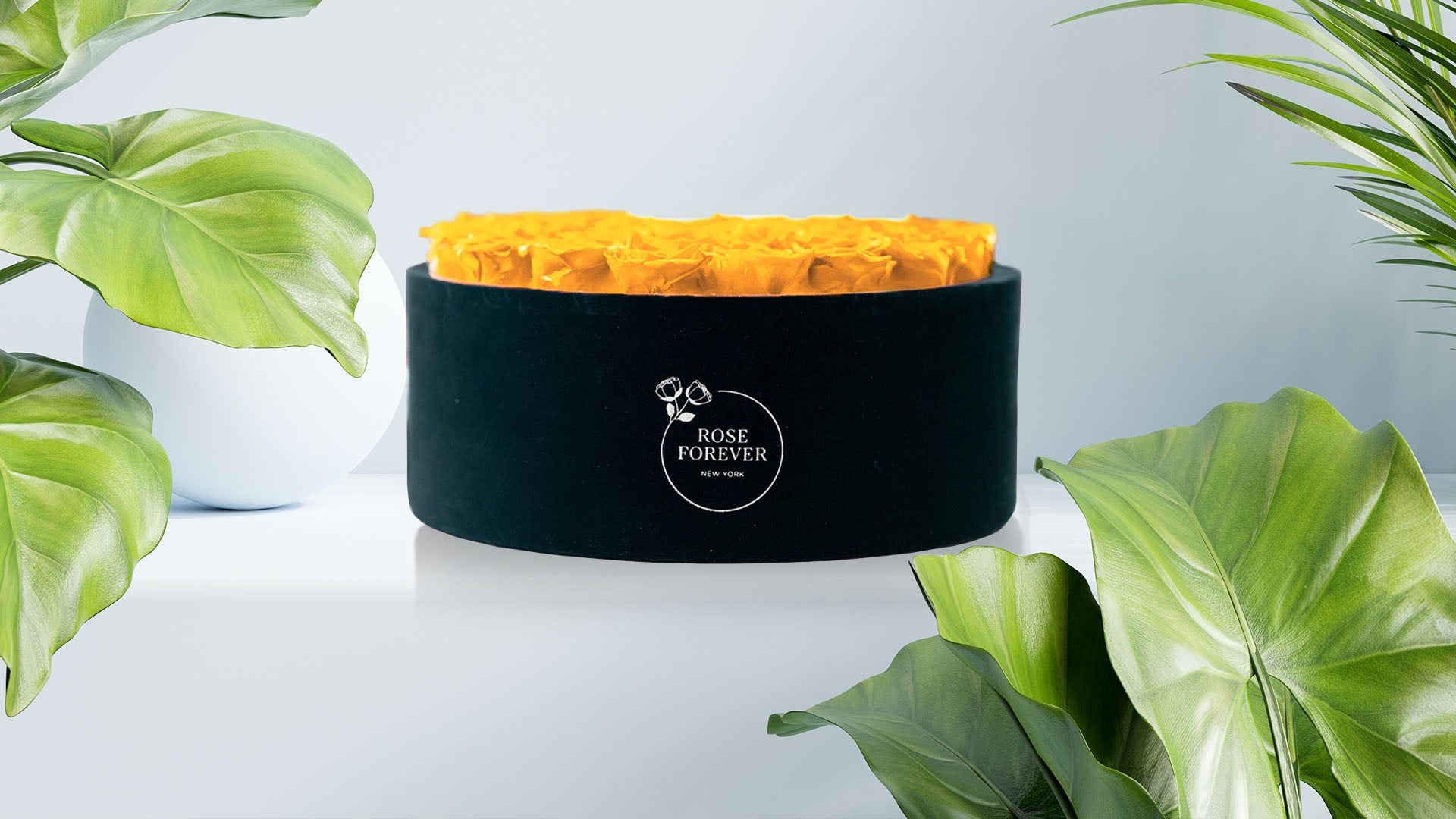 The True Meaning of Yellow Roses – Rose Forever