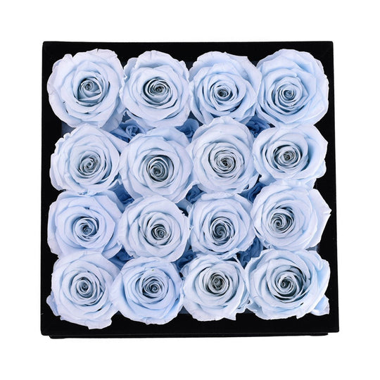 Light Blue Roses Delivery – Rose Forever