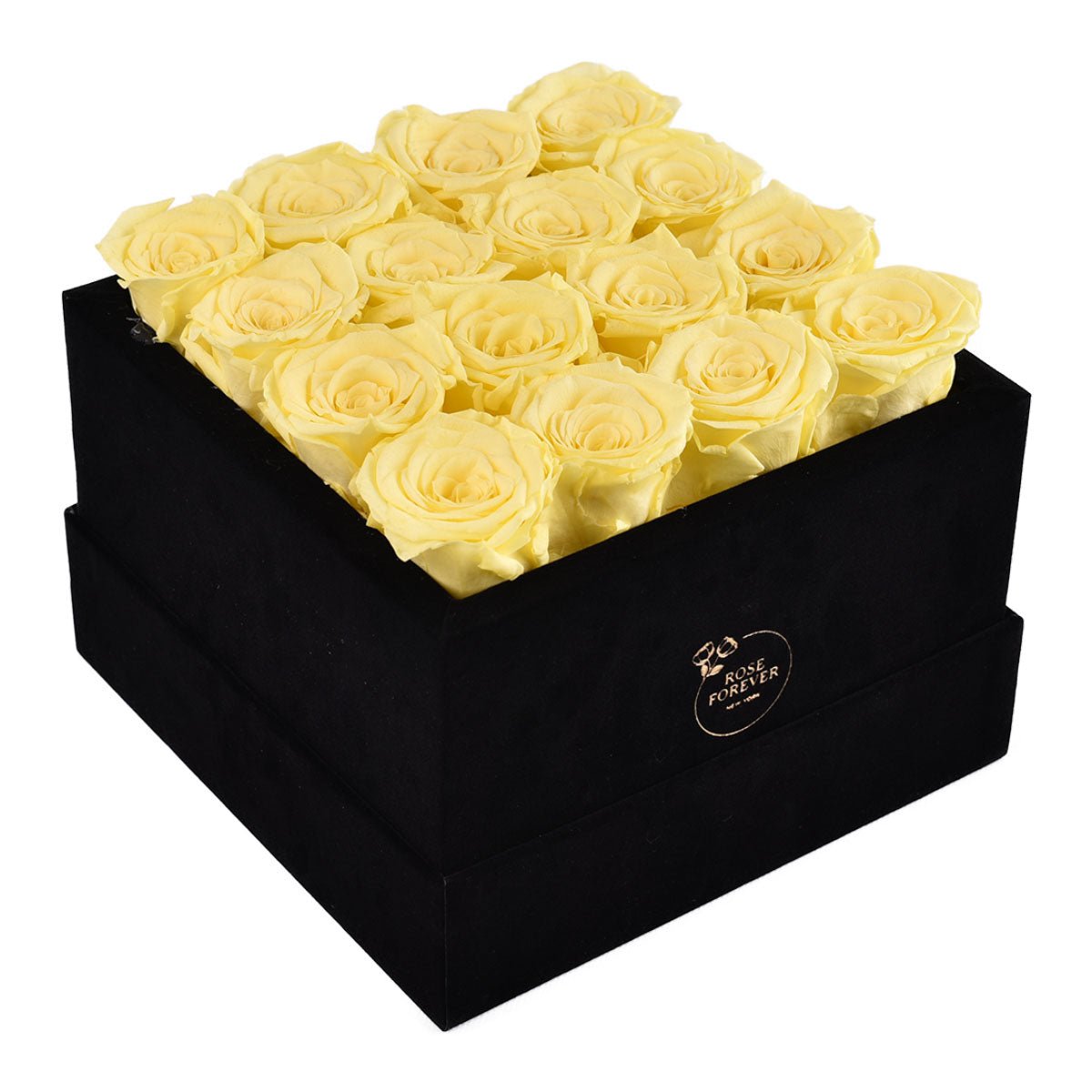 16 Yellow Roses - Black Square Velvet Box | Flower Delivery – Rose Forever