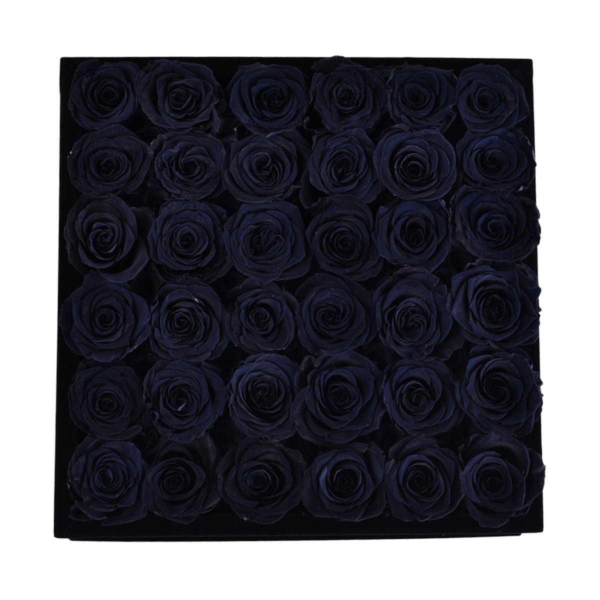 36 Black Roses - Black Square Velvet Box | Flower Delivery – Rose Forever