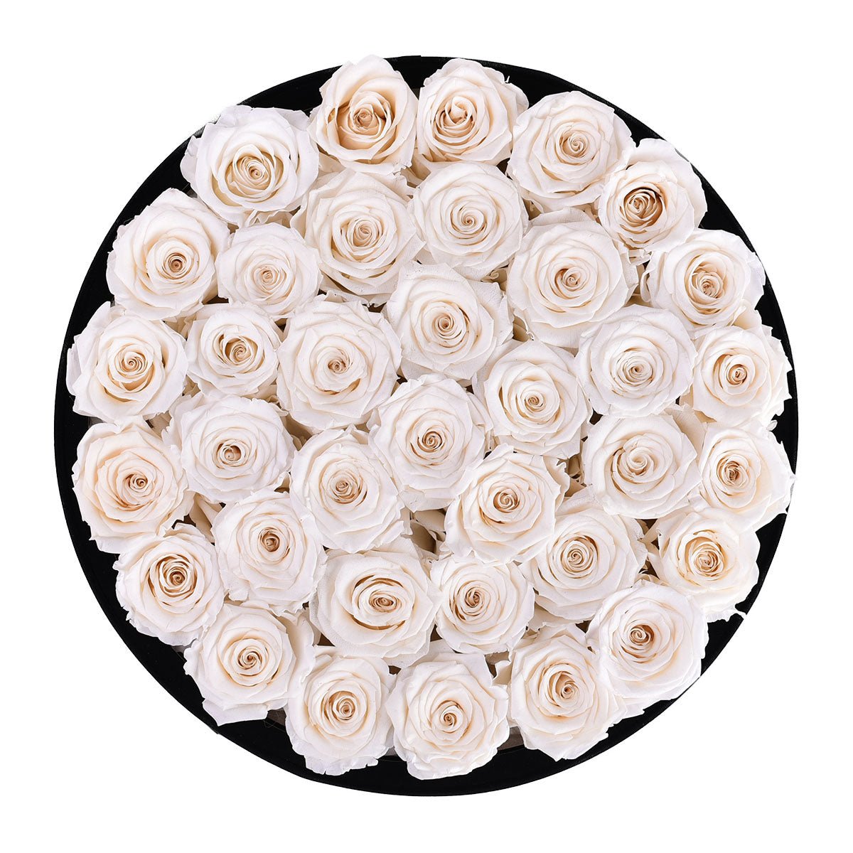 36 Grey Roses - Black Round Velvet Box | Flower Delivery – Rose Forever
