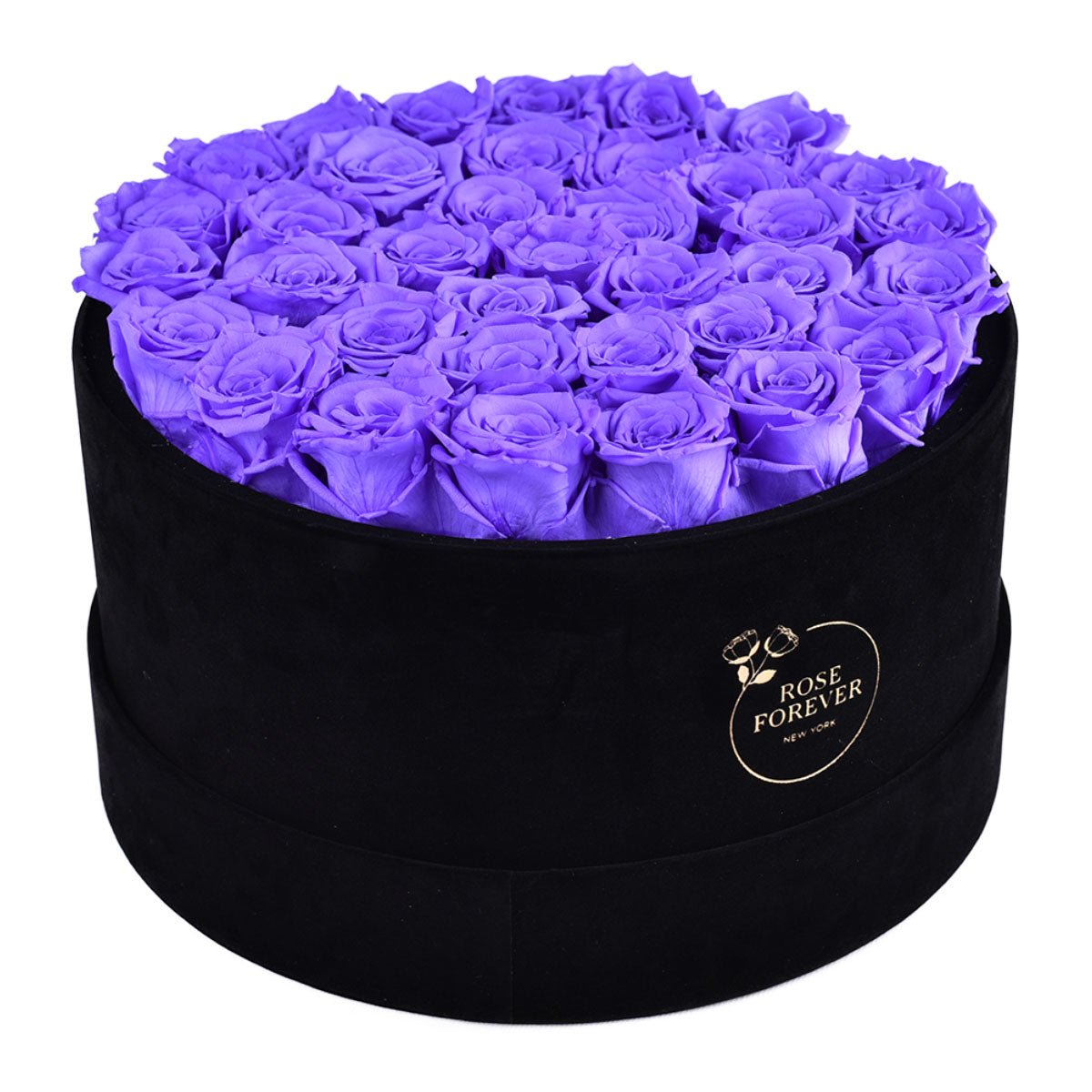 36 Lavender Roses - Black Round Velvet Box | Flower Delivery – Rose Forever