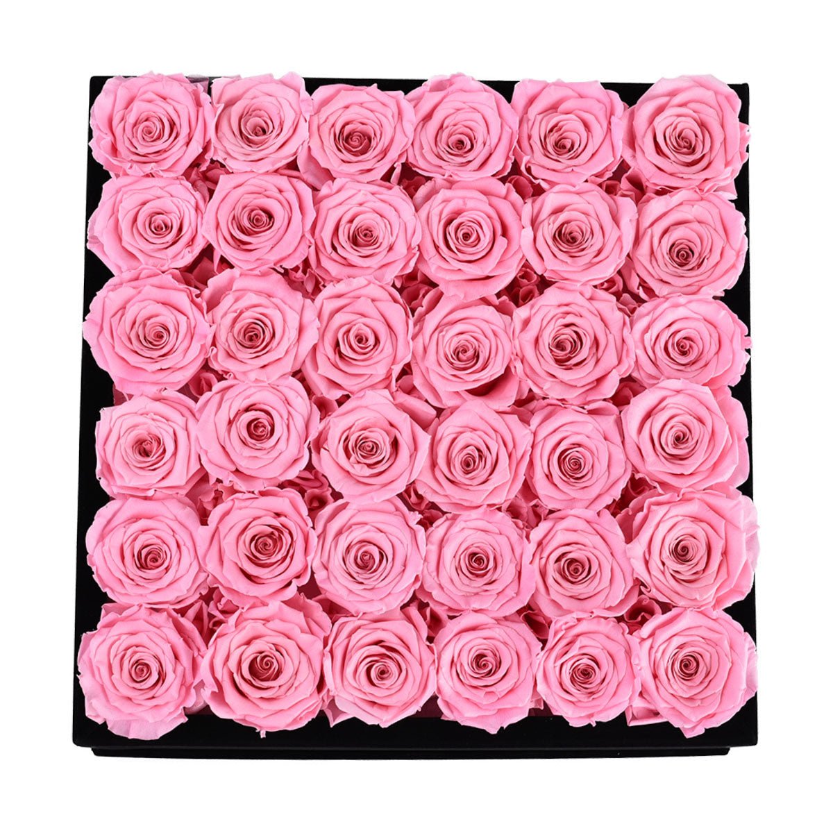 36 Red Roses - Black Square Velvet Box | Flower Delivery – Rose Forever