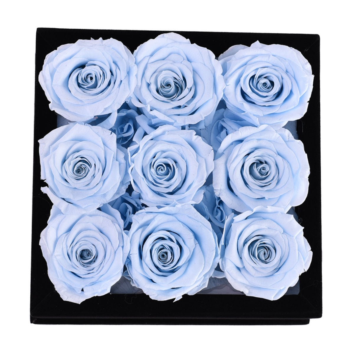 9 Baby Blue Roses - Square Black Velvet Box | Flower Delivery – Rose ...