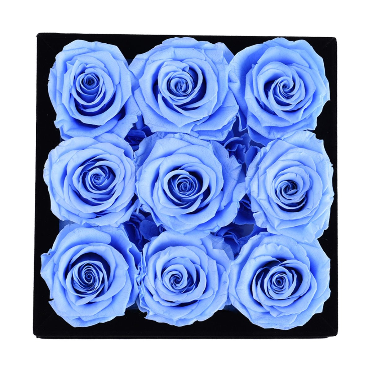 9 Baby Blue Roses - Square Black Velvet Box | Flower Delivery – Rose ...