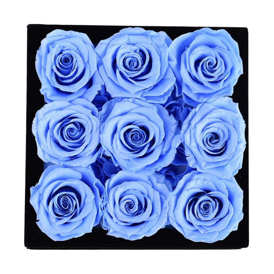 9 Baby Blue Roses - Square Black Velvet Box | Flower Delivery – Rose ...