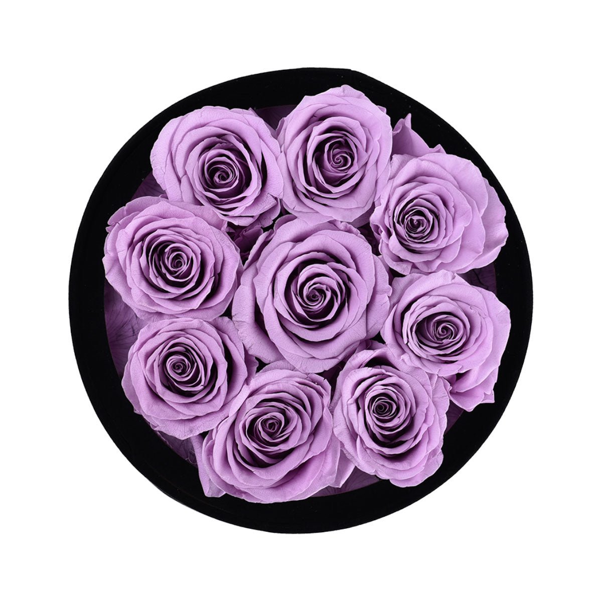 9 White Roses - Black Round Velvet Box | Flower Delivery – Rose Forever