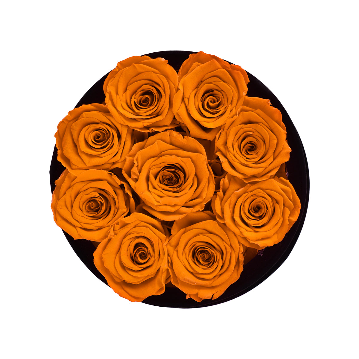 9 White Roses - Black Round Velvet Box | Flower Delivery – Rose Forever