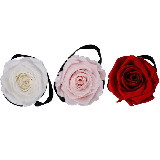 Single Roses Delivery – Rose Forever