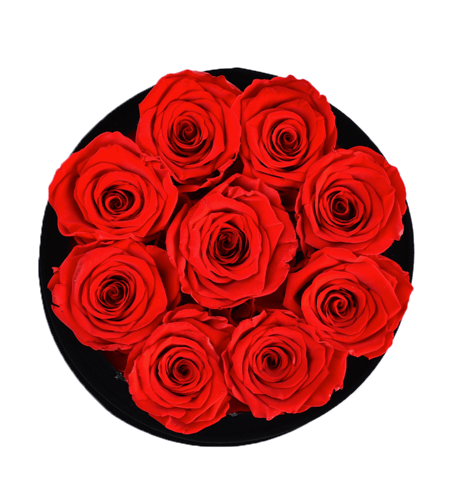 9 Red Roses - Round Black Velvet Box | Flower Delivery – Rose Forever