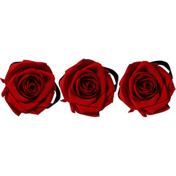 Single Roses Delivery – Rose Forever